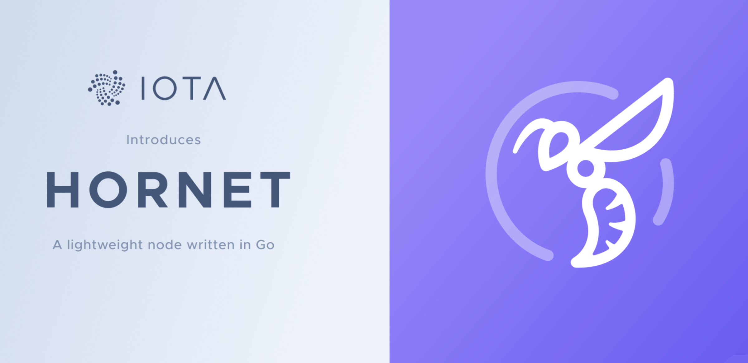 IOTA HORNET – Die leichtgewichtige IOTA Node - CoinPro.ch